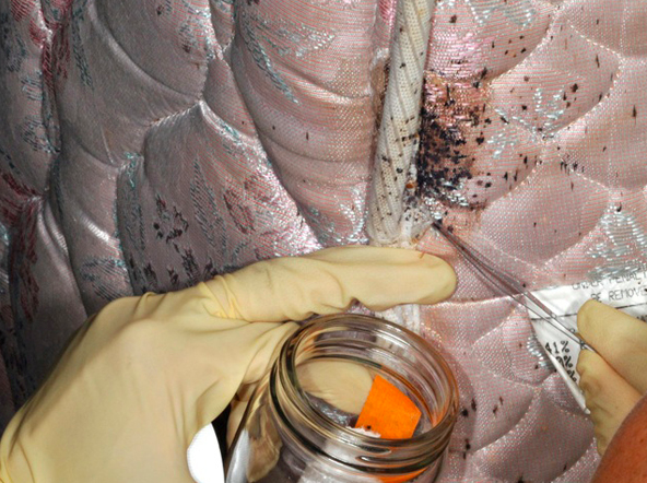 Bug Blasters Pest Control - St. George, UT | Names and Numbers